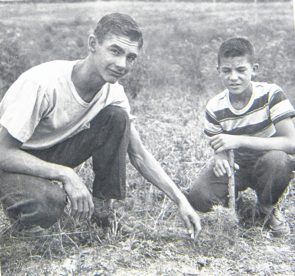 Throwback: 4-H Tree Planting | Clinton County History Center